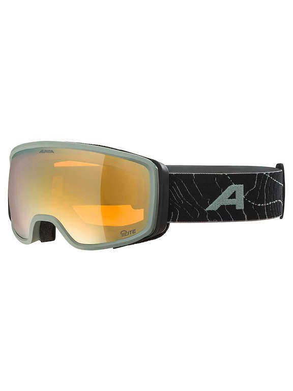 ALPINA BIVIO Ski Goggles