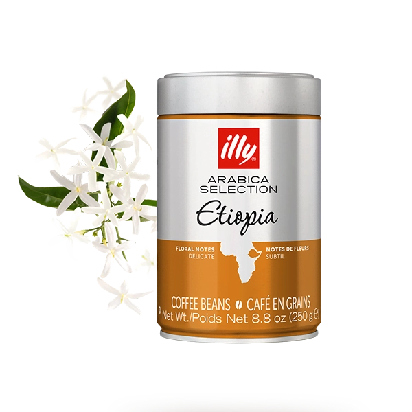 Illy Etiopia 250gr – Espresso Kafa U Zrnu