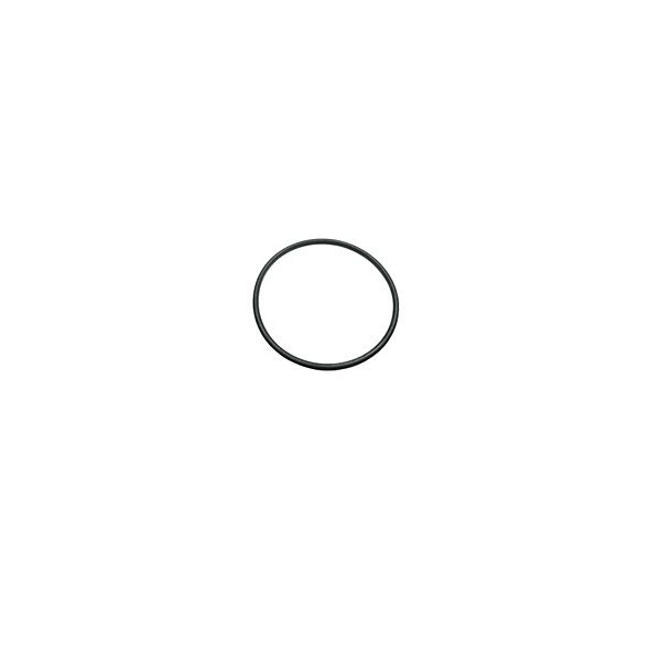 MS29561-111 - O-Ring