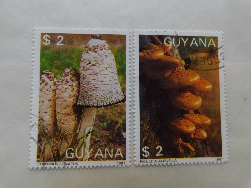 GUYANA 1987