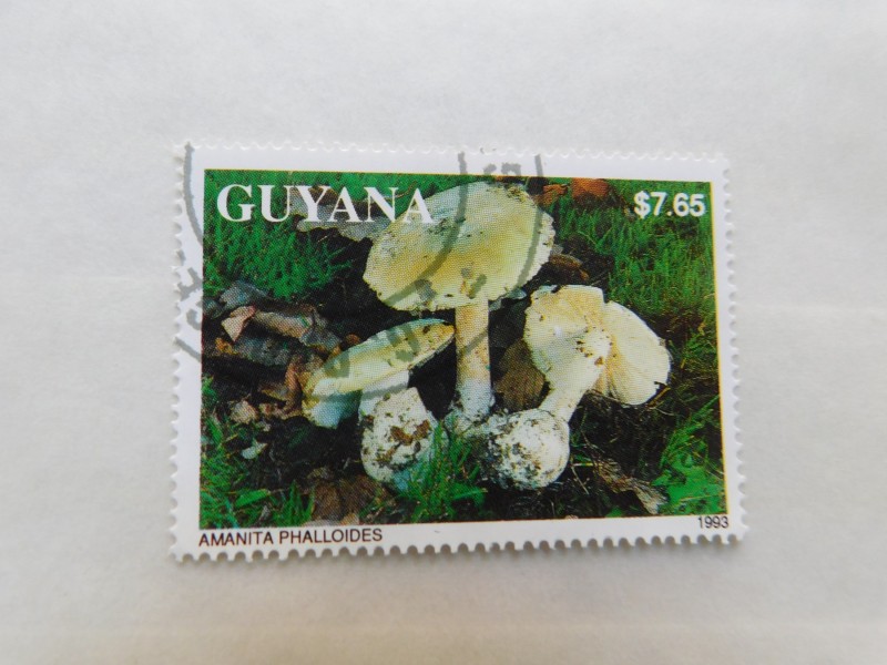 GUYANA 1993