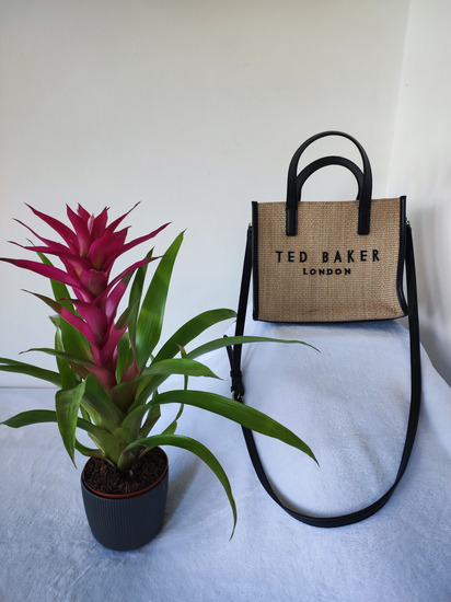 TED BAKER LONDON torba