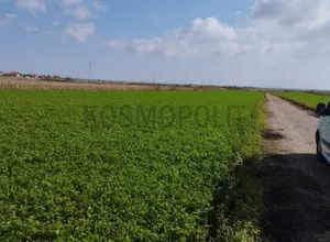 Prodaja Građevinsko zemljište - Zemun, Batajnica