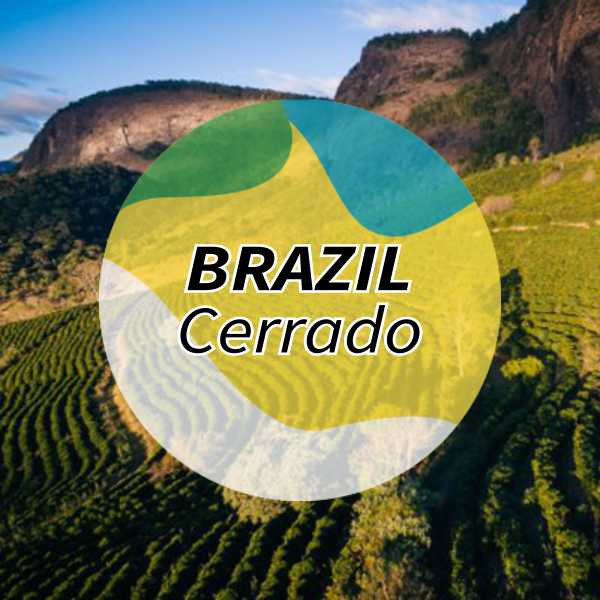 Brazil Cerrado SSFC – kafa u zrnu jedinstvenog porekla