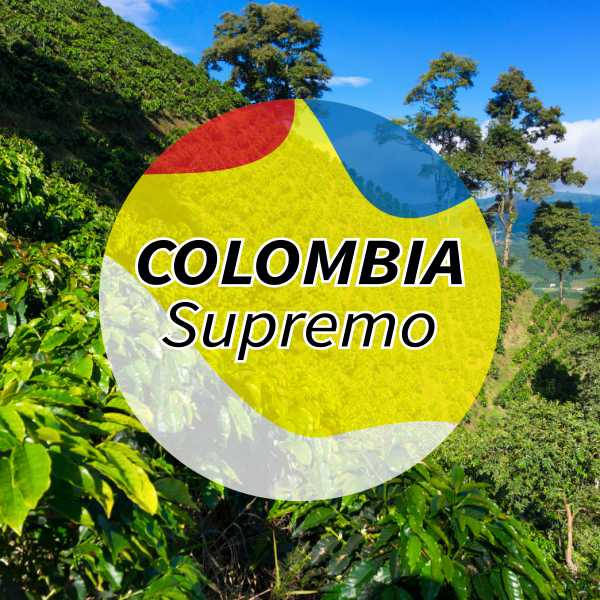 Colombia Supremo – kafa u zrnu jedinstvenog porekla