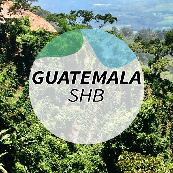 Guatemala SHB – kafa u zrnu jedinstvenog porekla