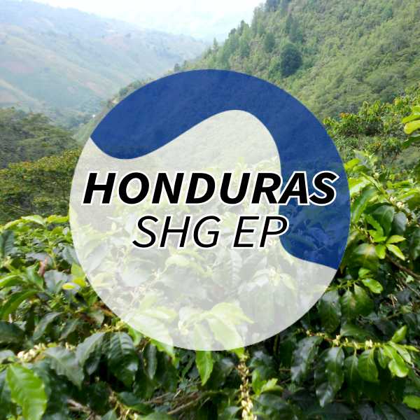 Honduras SHG EP – kafa u zrnu jedinstvenog porekla