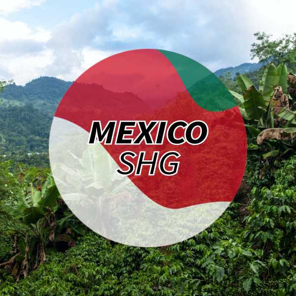 Mexico SHG Premium – kafa u zrnu jedinstvenog porekla