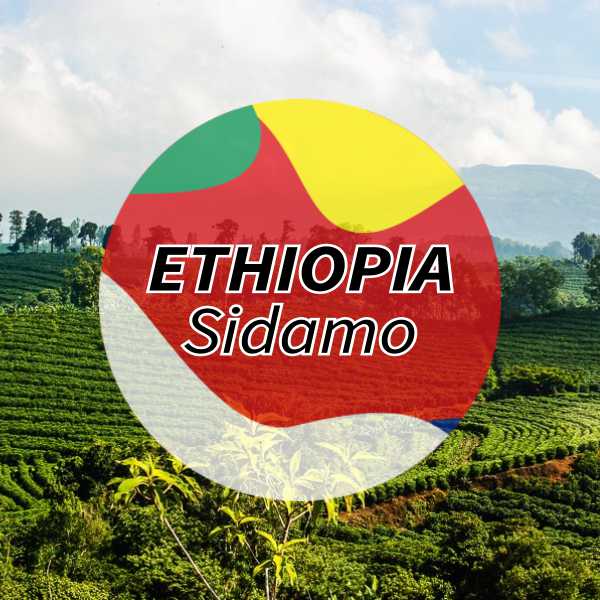 Ethiopia Sidamo – single origin kafa arabika