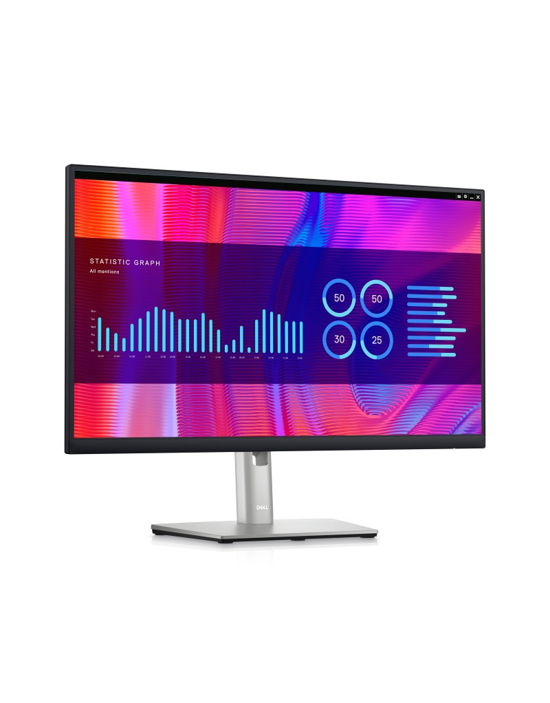 DELL OEM 23.8 inch P2423DE QHD USB-C Professional IPS monitor