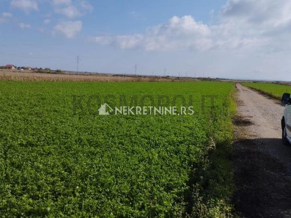 Zemun, Batajnica, Male Međe, Zemljište, 500ari, 20000 EUR