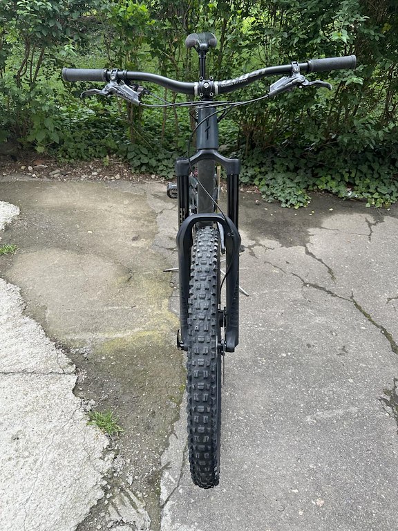 YT capra 29 L carbon