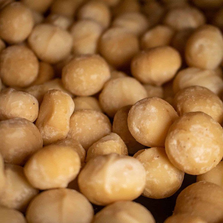 Makadamija 100g