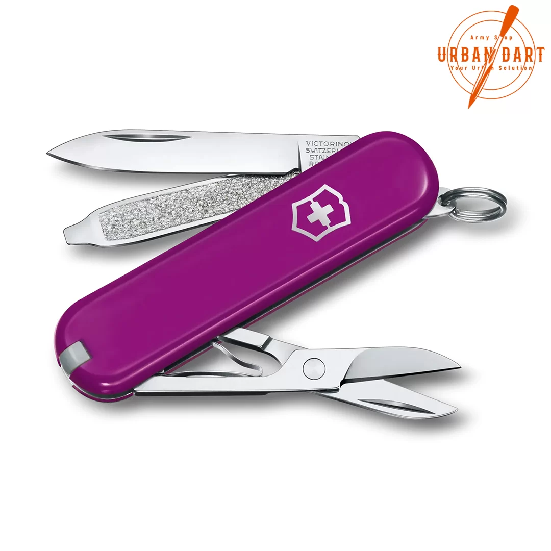 VICTORINOX CLASSIC TASTY GRAPE 0.6223.52G