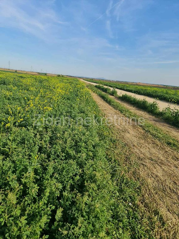 Batajnica, Male međe, parcela 5,13 ari