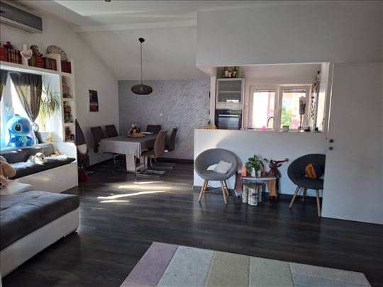 Zemun Altina 250m2 lux 5ari