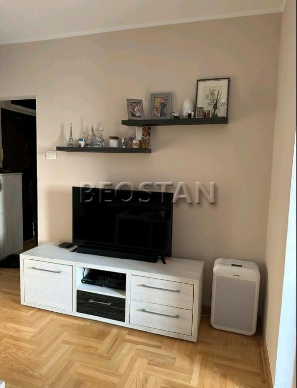 Dr Ivana Ribara, Dvosoban stan za izdavanje, 41m2, 650€