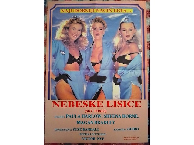 plakat NEBESKE LISICE