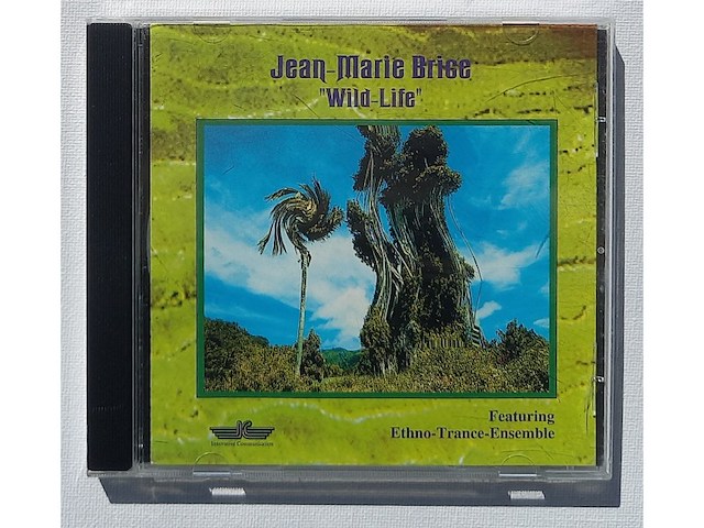 Jean-Marie Brice Featuring Ethno-Trance-Ensemble – Wild