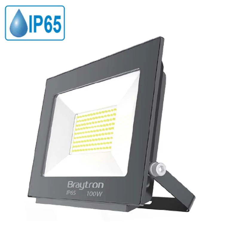 LED REFLEKTOR BT60-33031 30W 6500K IP65