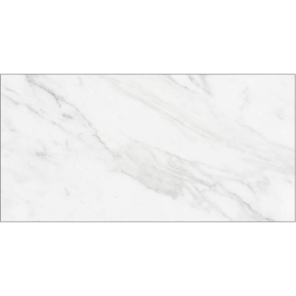 Carrara 25×50