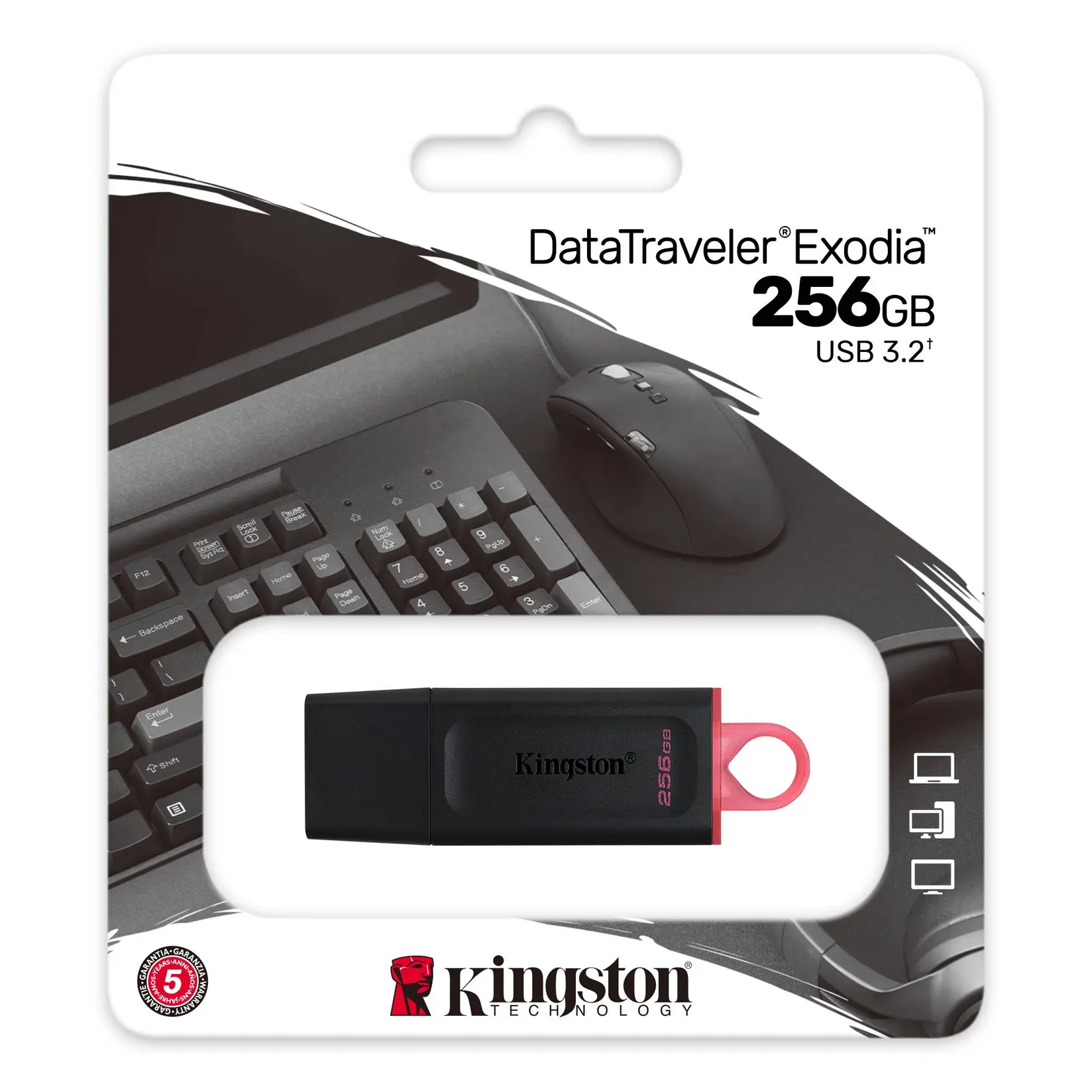 Kingston DTX/256GB USB Flash memorija, 256 GB, Crna