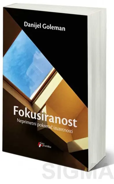 Fokusiranost - Danijel Goleman