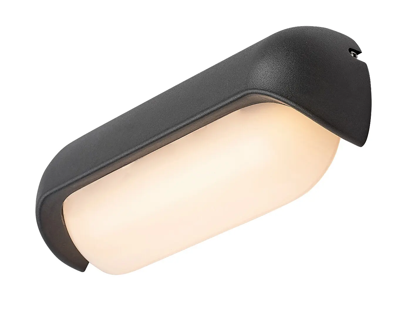 RABALUX Hulst Spoljna zidna lampa, LED, IP65, 13W, 850lm, Antracit