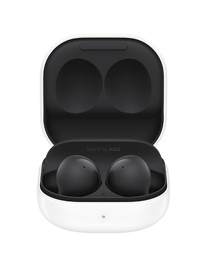 Galaxy Buds2 Graphite