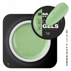 2M BEAUTY GEL U BOJI - MAT 867 5g