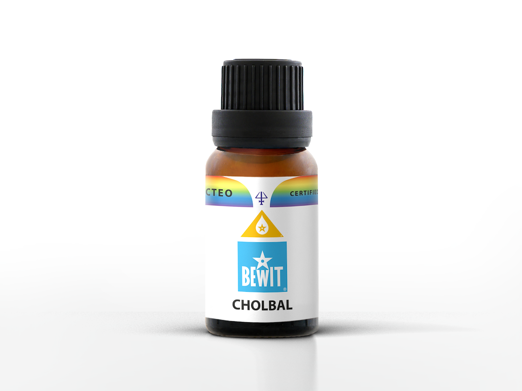 CHOLBAL (Cholesterol balance)