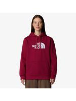 W drew peak pullover hoodie