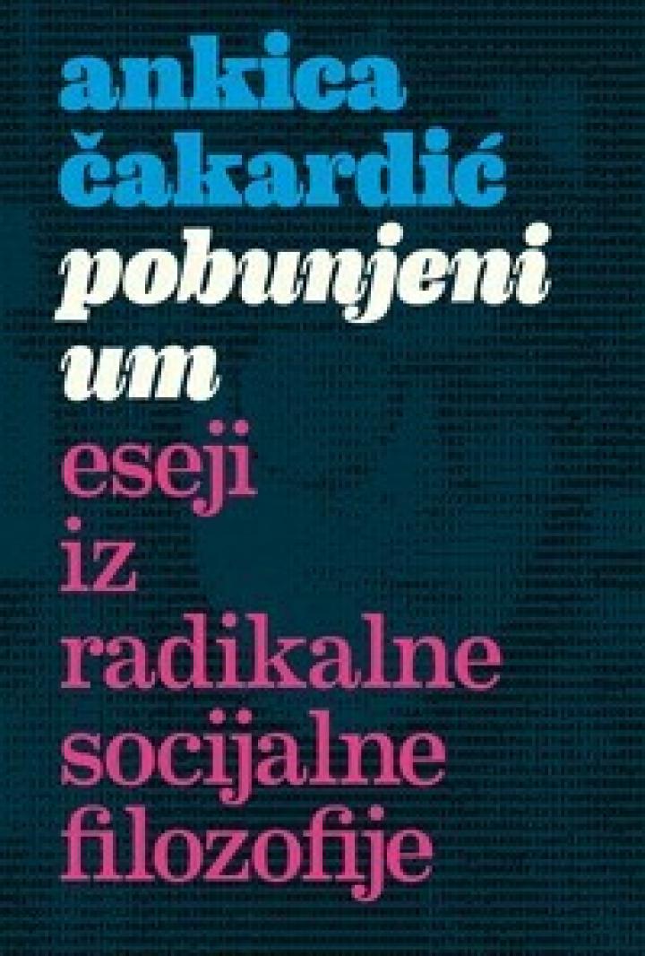 POBUNJENI UM - ESEJI IZ RADIKALNE SOCIJALNE FILOZOFIJE