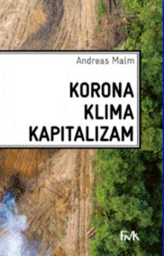 KORONA, KLIMA, KAPITALIZAM