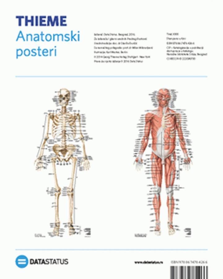 ANATOMSKI POSTERI: KOSTI I MIŠIĆI