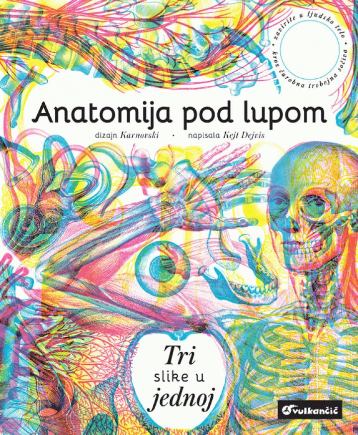 ANATOMIJA POD LUPOM