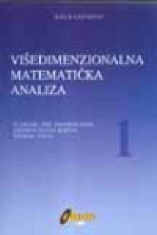 VIŠEDIMENZIONALNA MATEMATIČKA ANALIZA 1