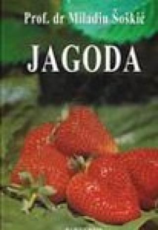 JAGODA