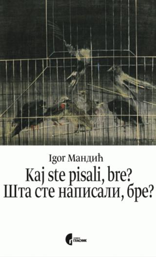 KAJ STE PISALI, BRE? ŠTA STE NAPISALI, BRE?