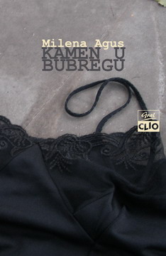 KAMEN U BUBREGU