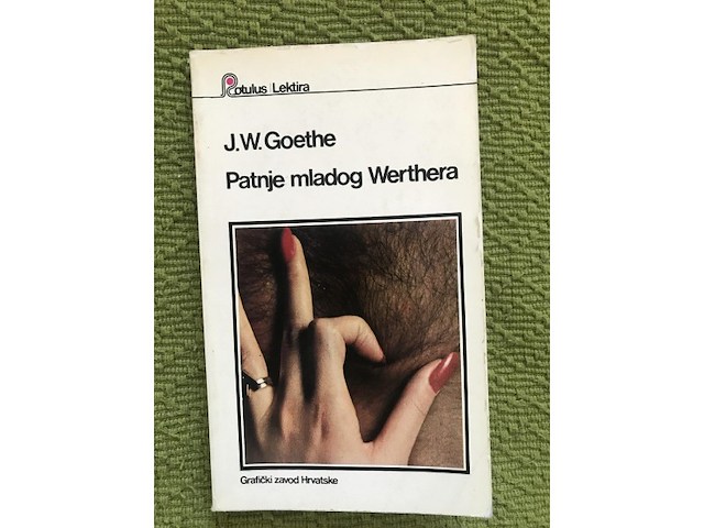 PATNJE MLADOG VERTERA - J. V. GETE