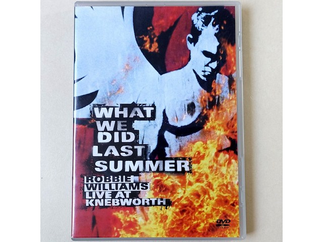 Robbie Williams - What We Did Last Summer (2xDVD)