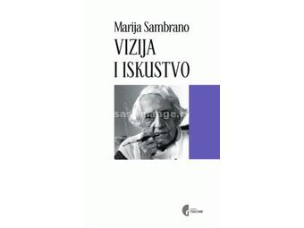 Vizija i iskustvo