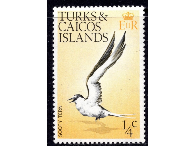 364 - Turks & Caicos Islands - Ptica - nežigosana marka