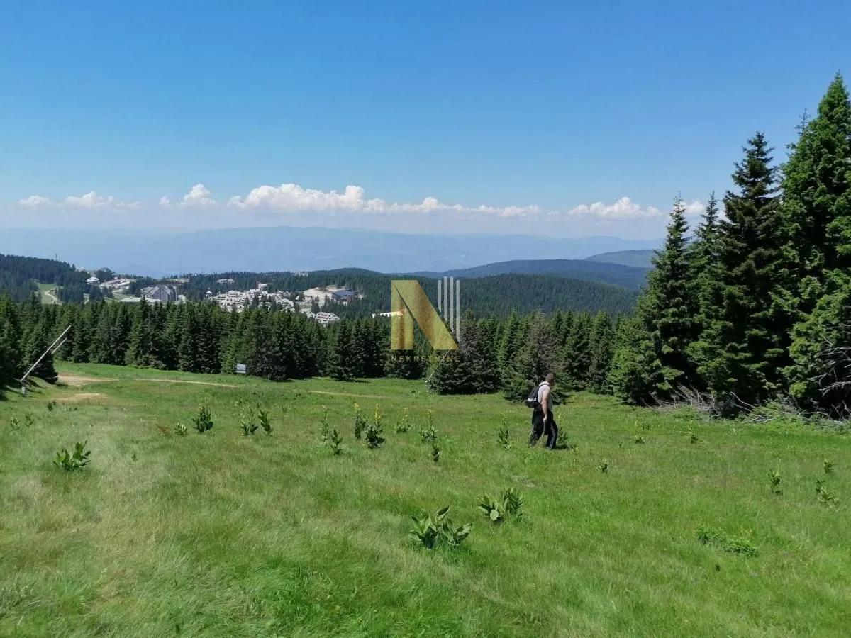 Prodaja, zemljište, 75m2, Kopaonik