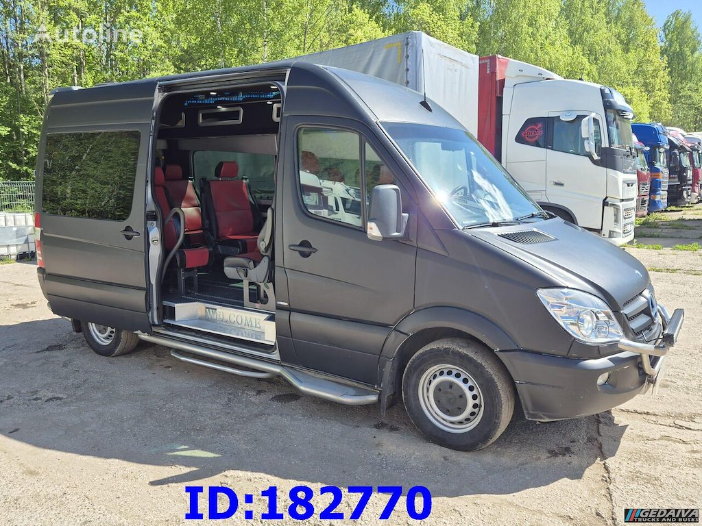 Mercedes-Benz Sprinter 319 VIP Euro5 turistički autobus