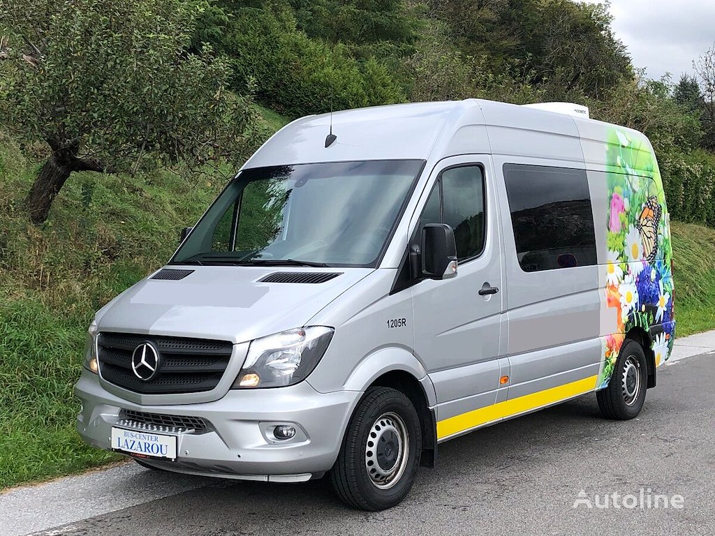 Mercedes-Benz Sprinter 314 CDI 9-Sitze Euro6 turistički autobus