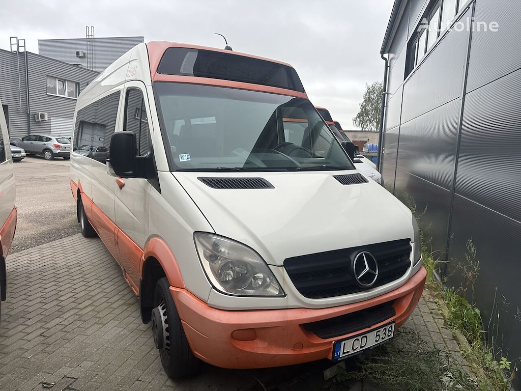 Mercedes-Benz Sprinter 513 putnički minibus