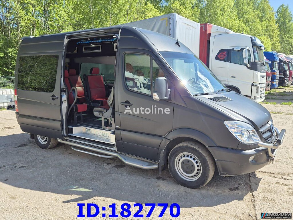 Mercedes-Benz Sprinter 319 VIP Euro5 putnički minibus