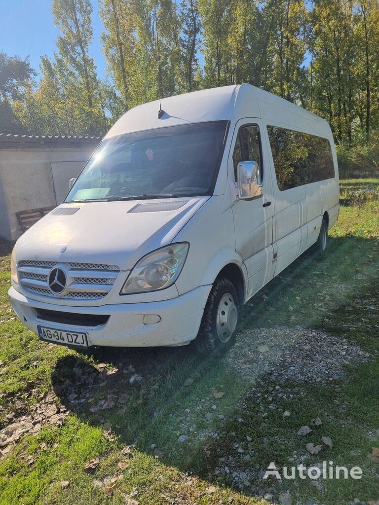 Mercedes-Benz Sprinter 906 putnički minibus